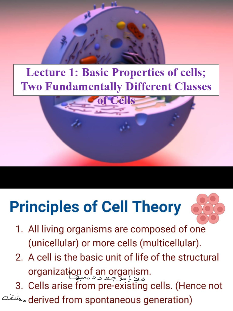 Basic Properties of Cells 2 | PDF