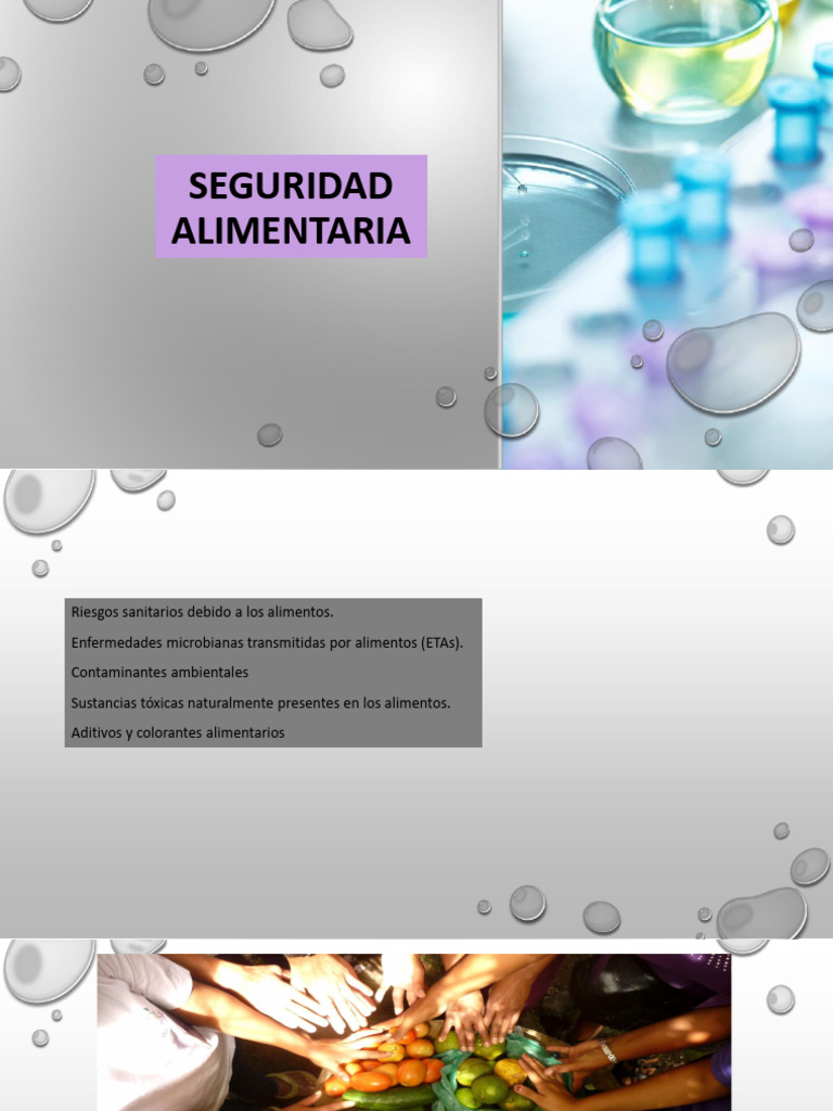 Seguridad Alimentaria | PDF | Alimentos | Contaminación