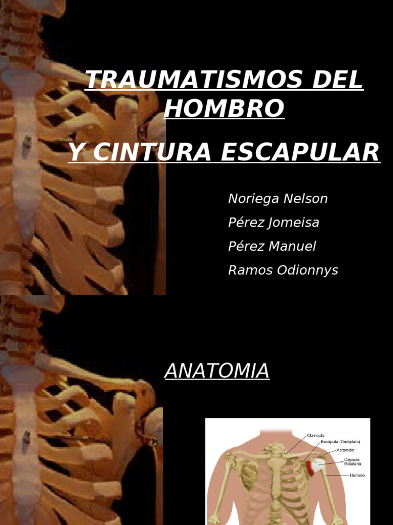 Hombro | PDF | Hombro | Sistema musculoesquelético