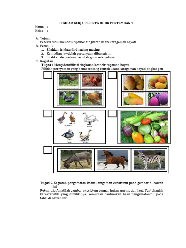 LEMBAR KERJA PESERTA DIDIK PERTEMUAN 1 KEHATI | PDF