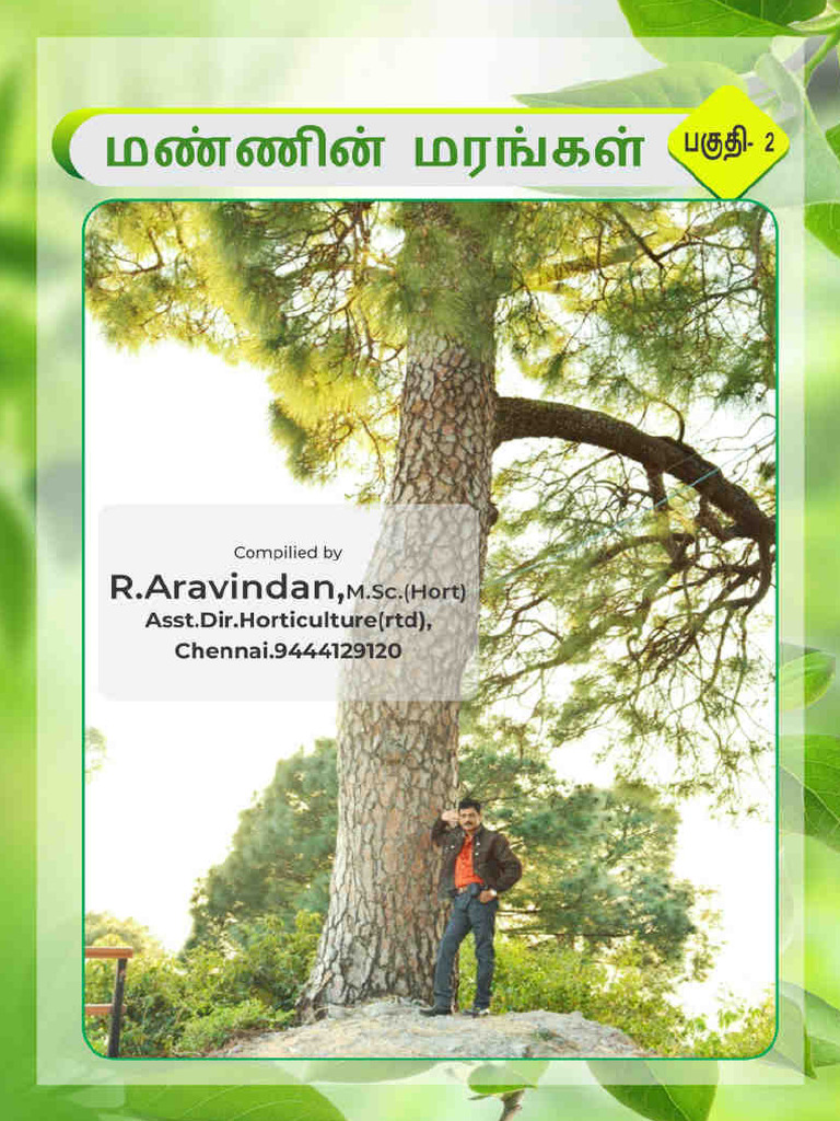 02-Traditional Trees Part-2 | PDF