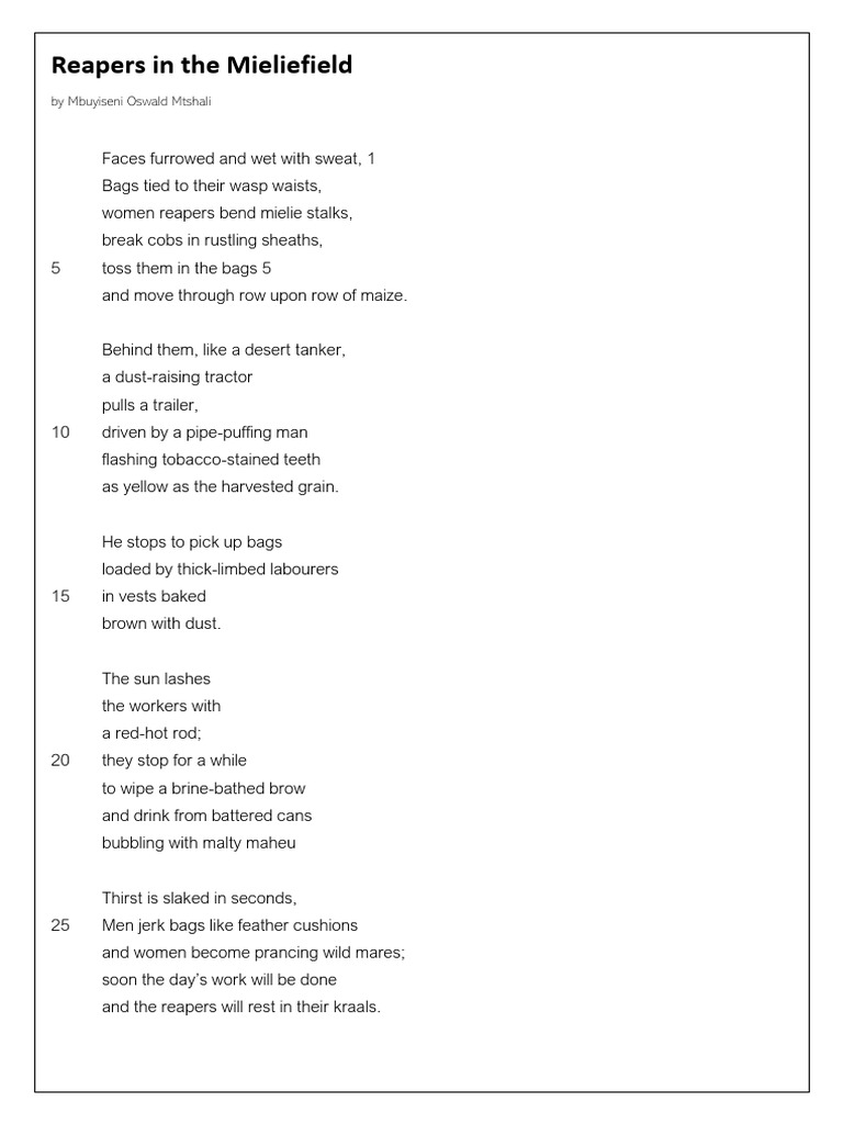 Poem - Reapers in The Mieliefield | PDF | Poetry