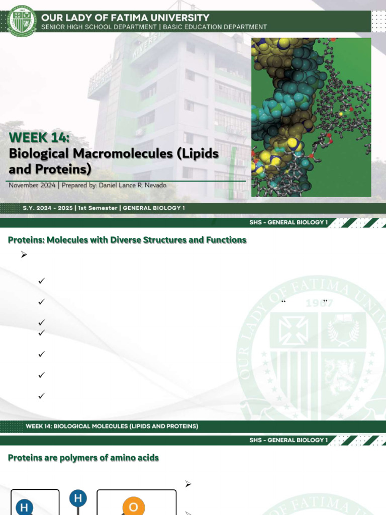 Proteins & Lipids: Structure and Function | PDF | Lipid | Proteins
