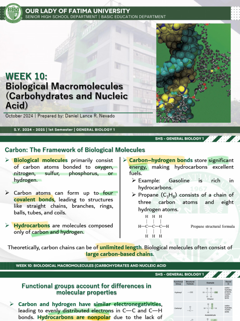 Biological Macromolecules Overview | PDF | Dna | Rna