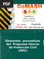 Machote Plan Interno de Proteccion Civil | PDF | Defensa Civil | Riesgo