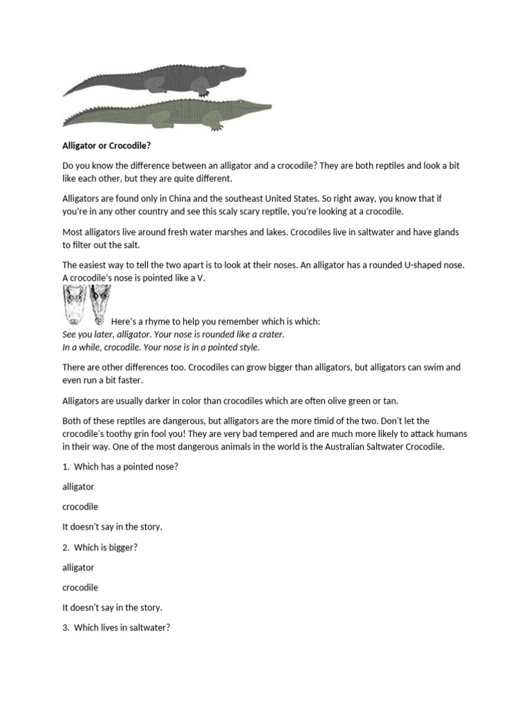 Alligator or Crocodile | PDF