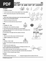 Form 2 Combined Science Notes 2020 | PDF | Digestion | Flowers