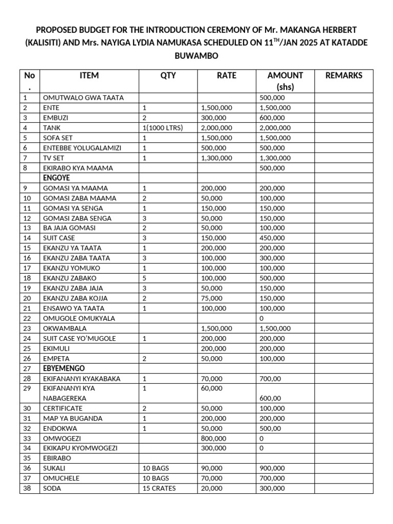PROPOSED Budget For Introduction | PDF