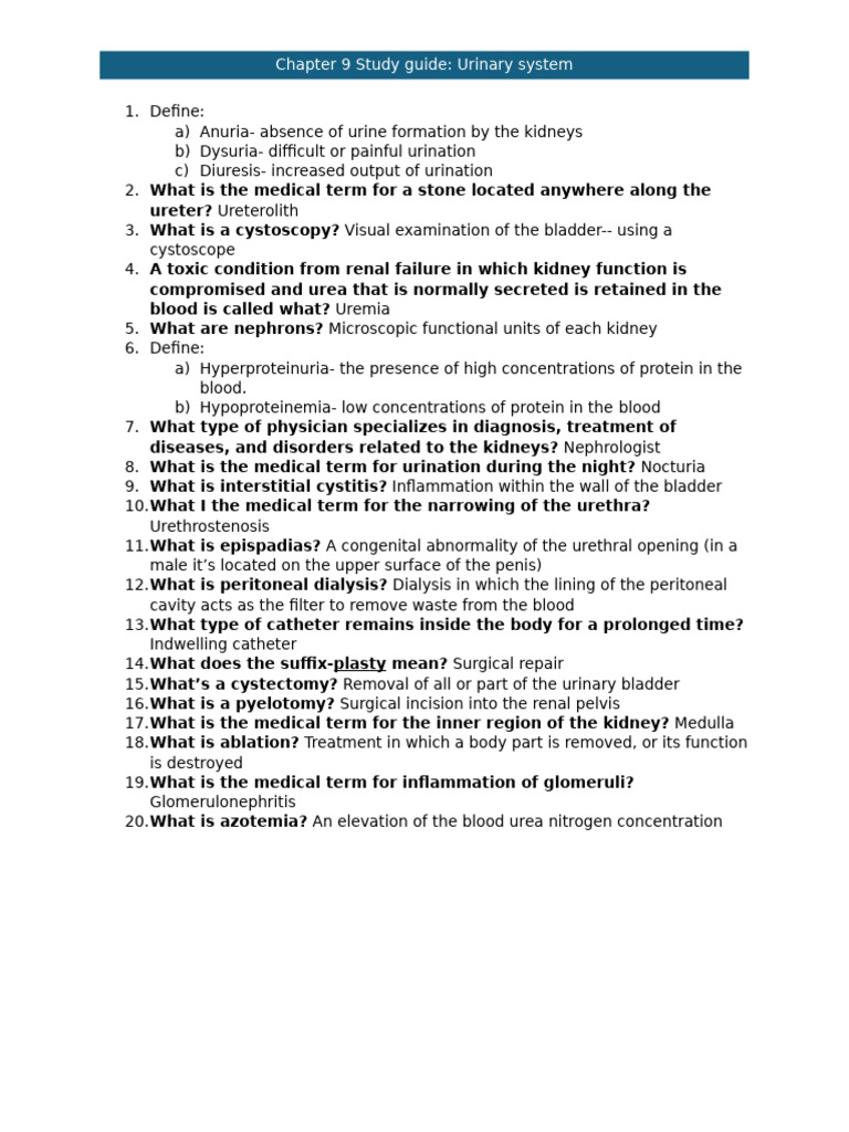 Urinary System Medical Terms Guide | PDF