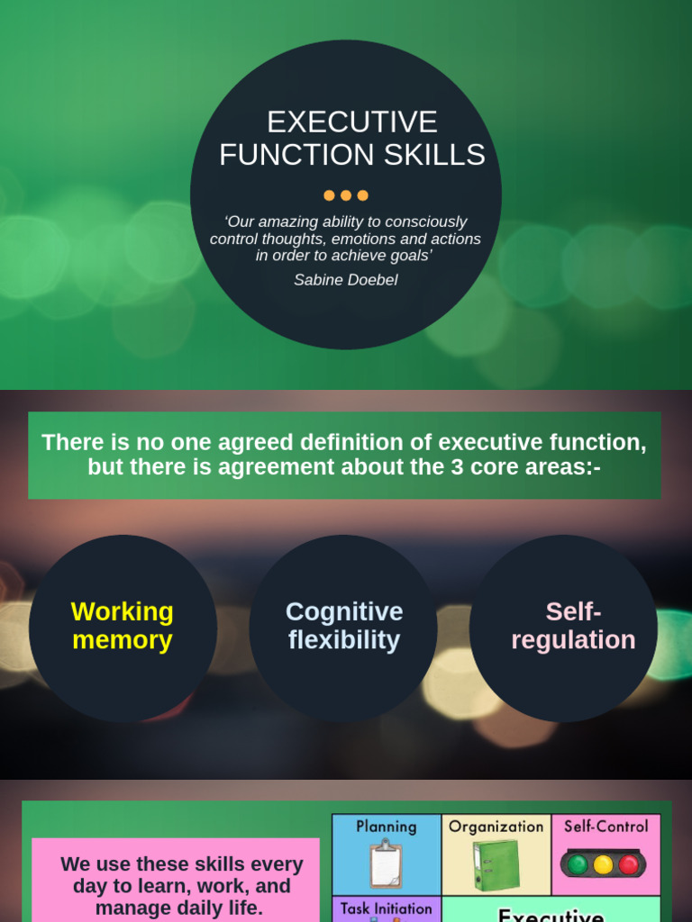 Executive Function Skills Training | PDF | Executive Functions | Emotions