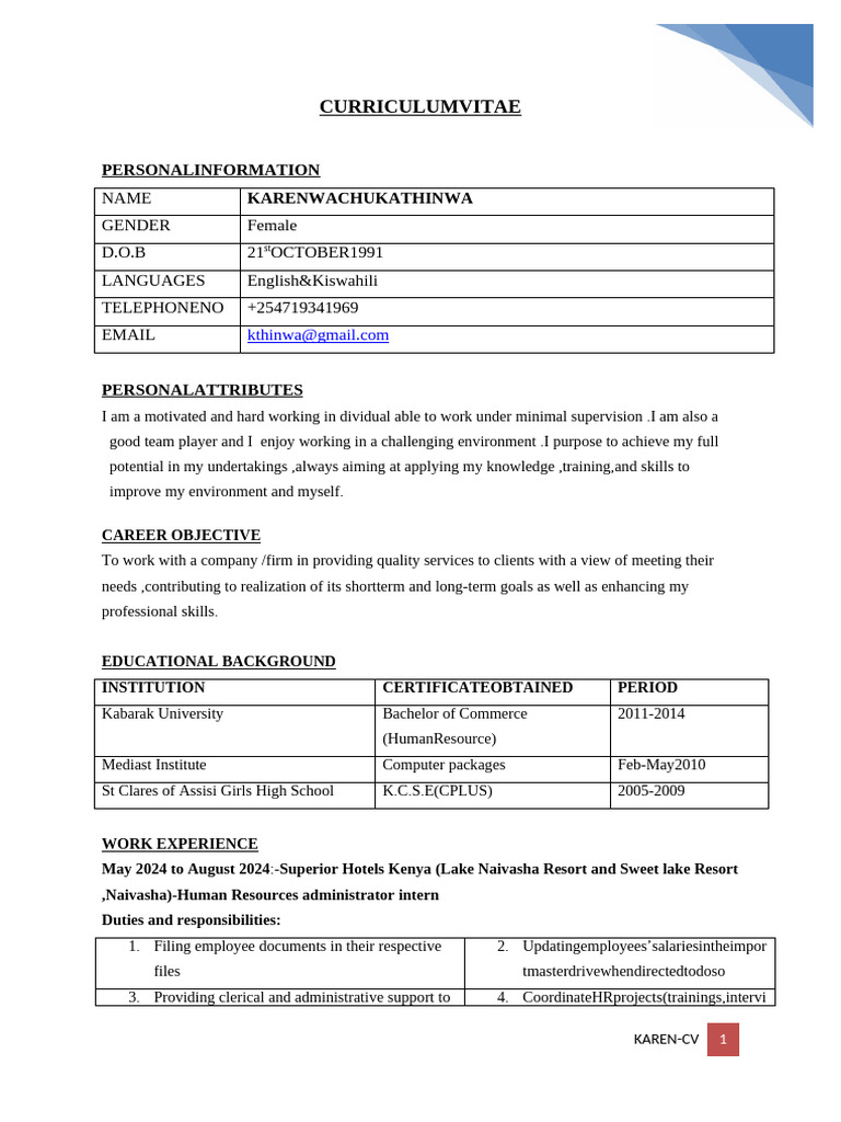 My Curriculum Vitae 2024 | PDF