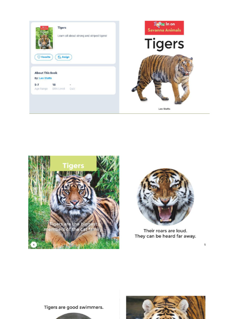 Tigers | PDF