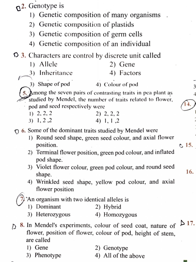 Adobe Scan 04 Jan 2025 | PDF