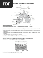 Rizzler Hitler: The Viral Enigma | PDF