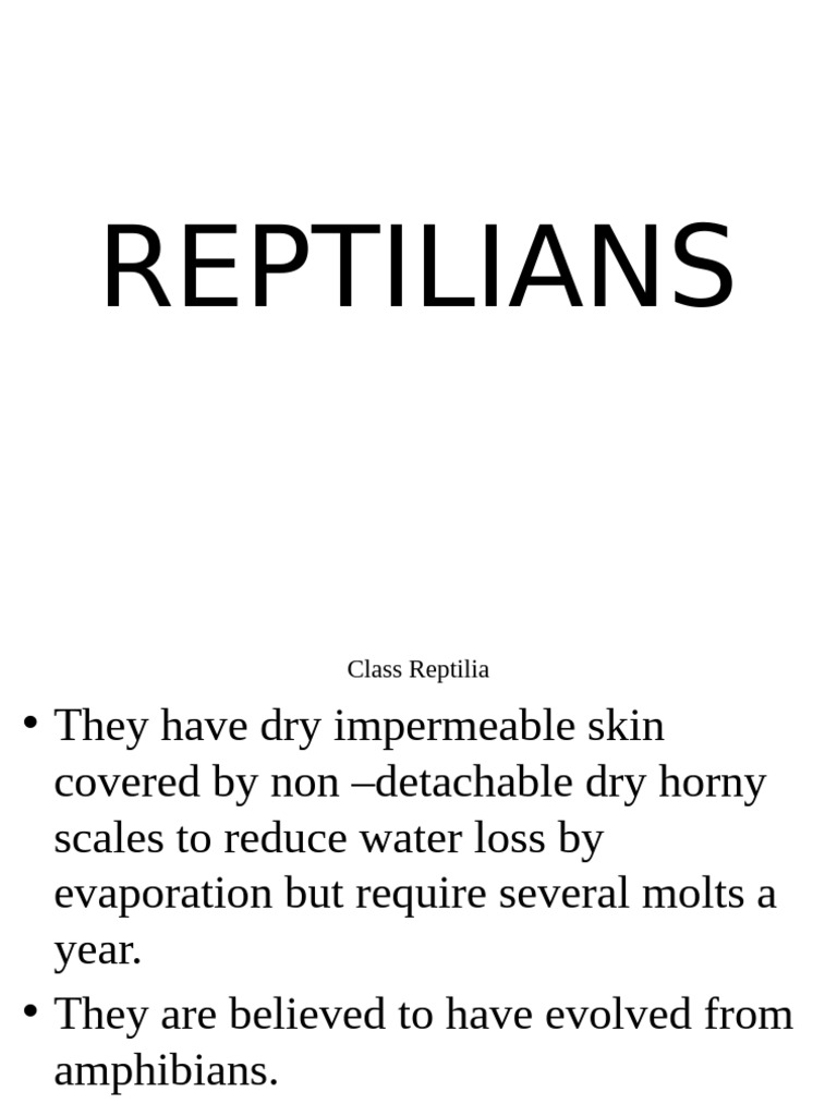 Understanding Reptilian Biology and Adaptations | PDF | Reptile | Lung