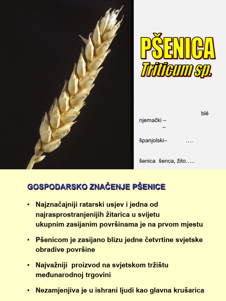 5 Psenica - Osnpzit | PDF