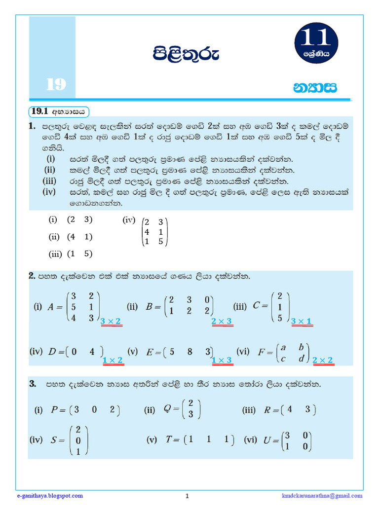 MATRICES Nyasa Grade 11 Maths Textbook Answers | PDF