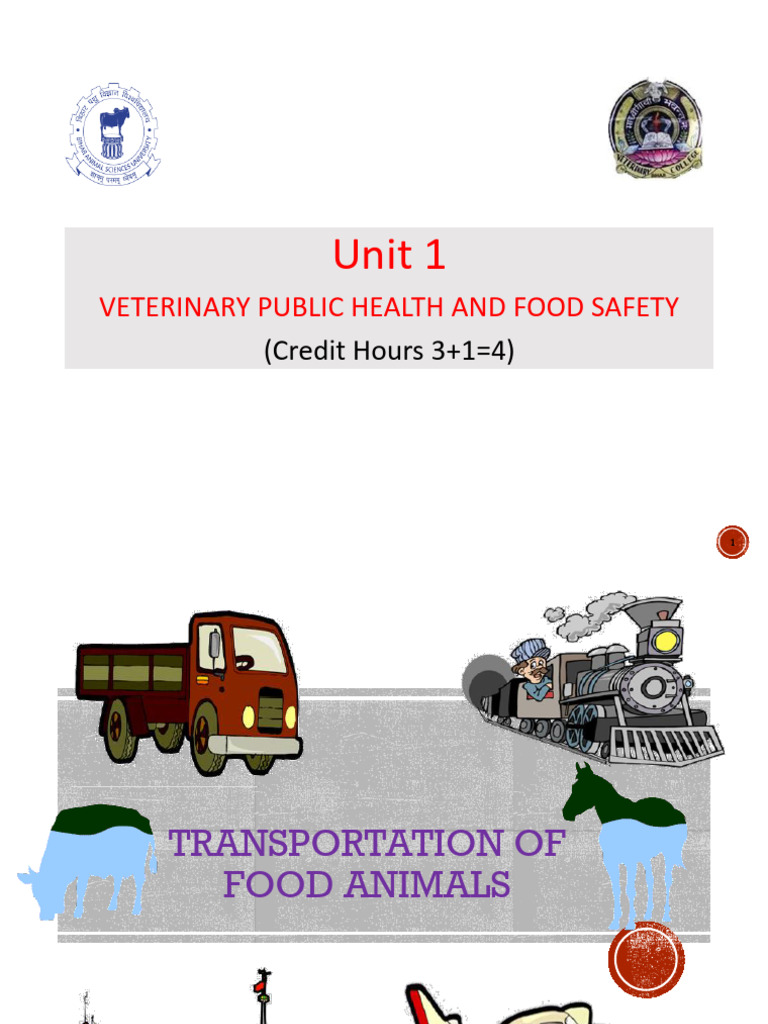 Bovine Transport Methods and Welfare | PDF | Cattle | Sheep