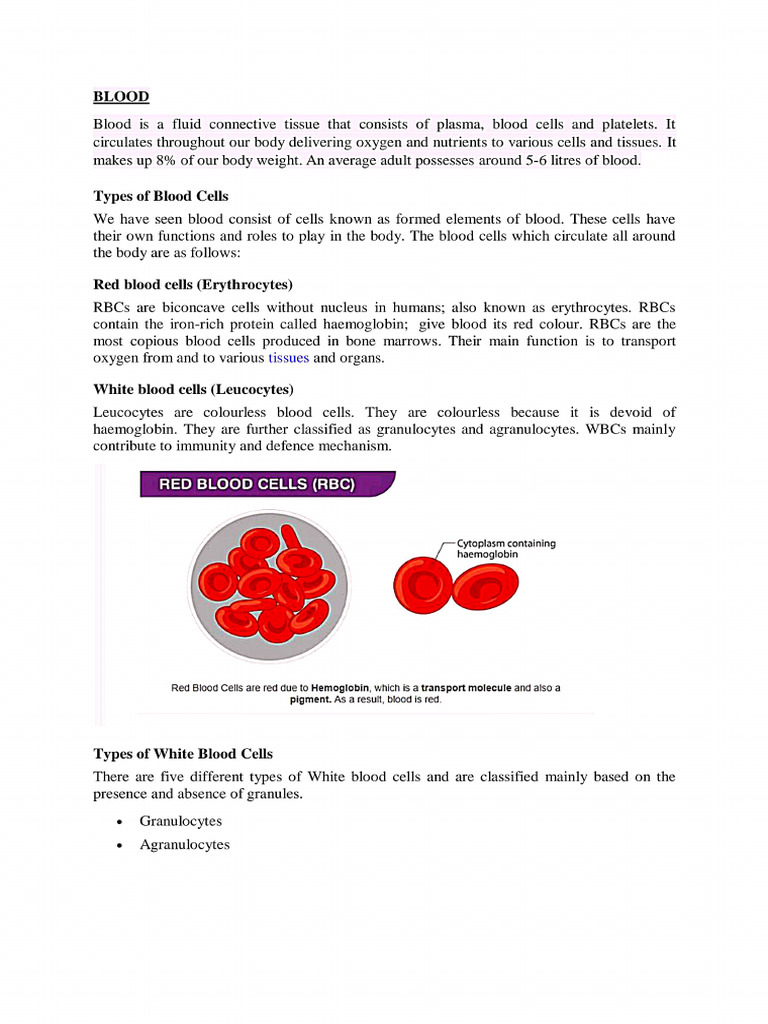 Blood is a fluid connective tissue that consists of plasma | PDF