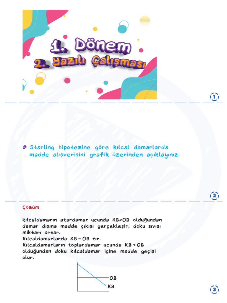 11 Sinif I Donem Ii Yazili Calismasi | PDF