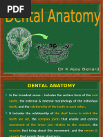 Triadan Tooth Numbering Guide | PDF | Dental Anatomy | Dentistry