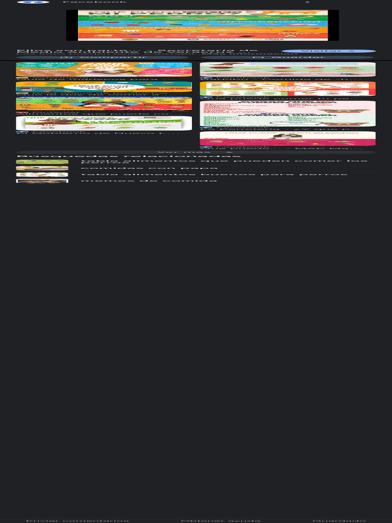 Cuida y Alimenta Bien a tu Perro | PDF