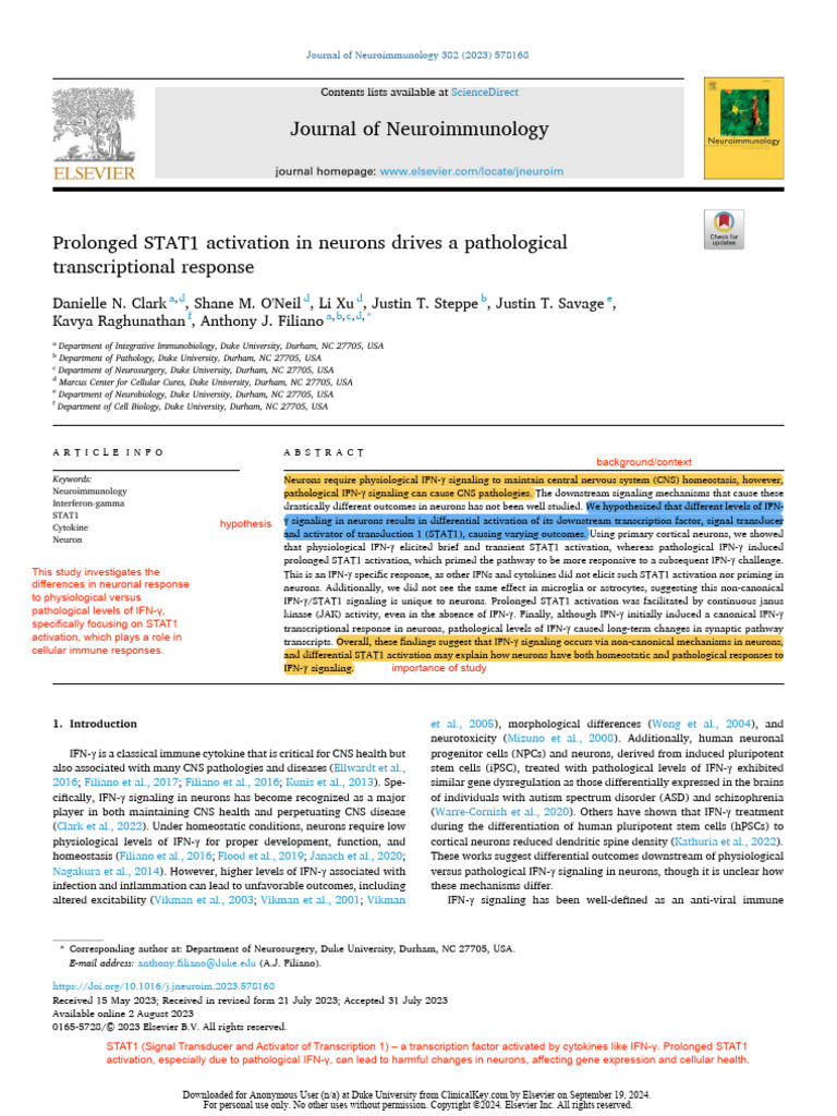 Allen Paper Prolonged STAT1 Activation in Neurons Drives A Pathological ...