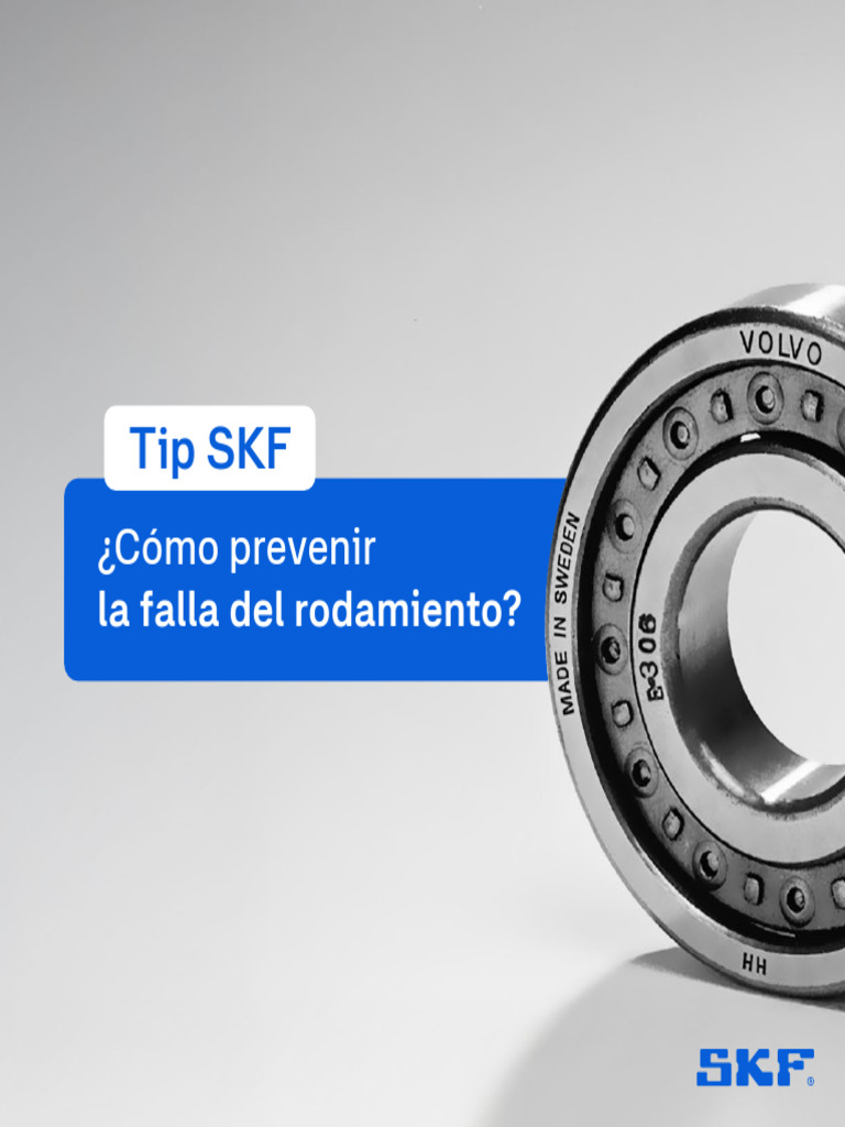 Tips SKF | PDF