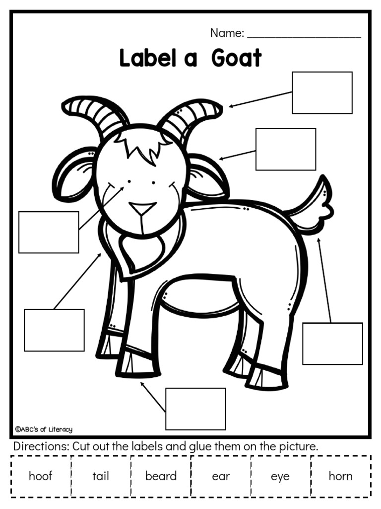 Goat Labeling Activity Worksheet | PDF