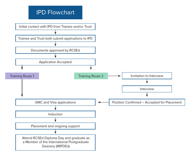 13.IPD Launch Flowchart | PDF
