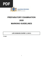 Grade 9 Project Term 3 | PDF | Numbers | Mathematics