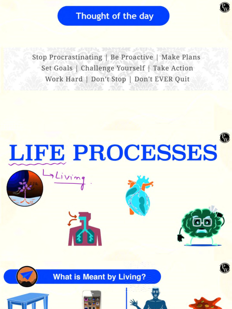 Life Processes Class Notes-Invert-Split | PDF
