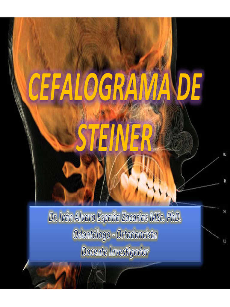 Cefalograma de Steiner PDF | PDF | Anatomía humana
