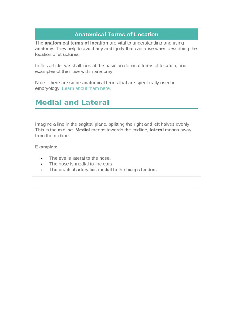 Anatomical Plane and Position | PDF