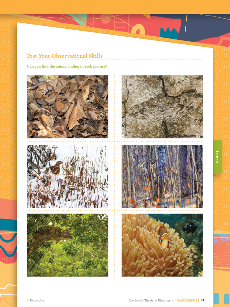 Observation Skills Test QP With Answer Key | PDF