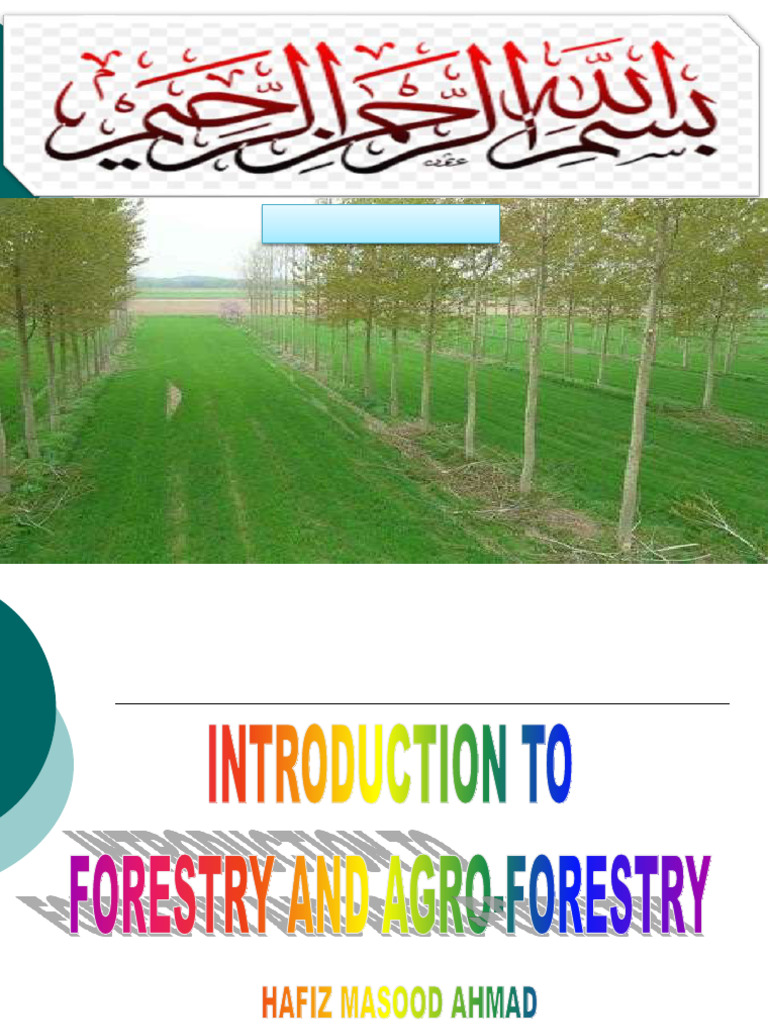 Introduction to Forestry and Agroforestry | PDF | Riparian Zone | Forests