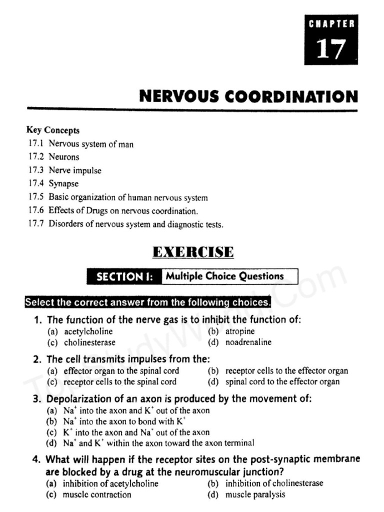 Chapter 17 - Nervous Coordination | PDF
