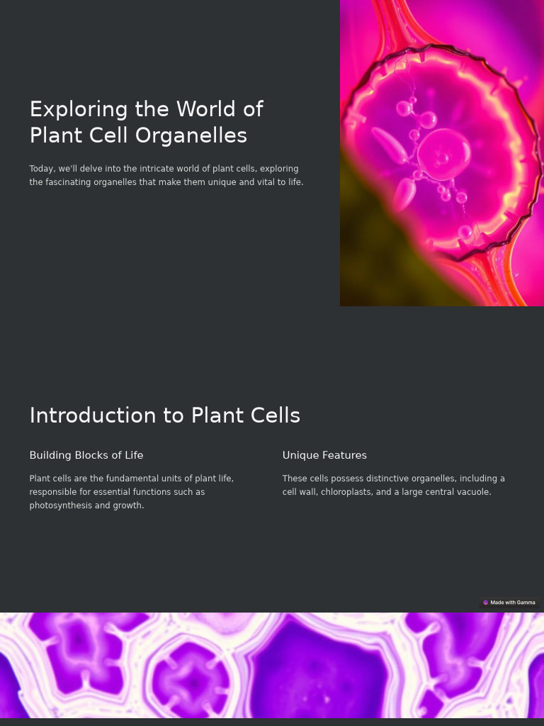 Exploring The World of Plant Cell Organelles 045808 | PDF | Cell ...