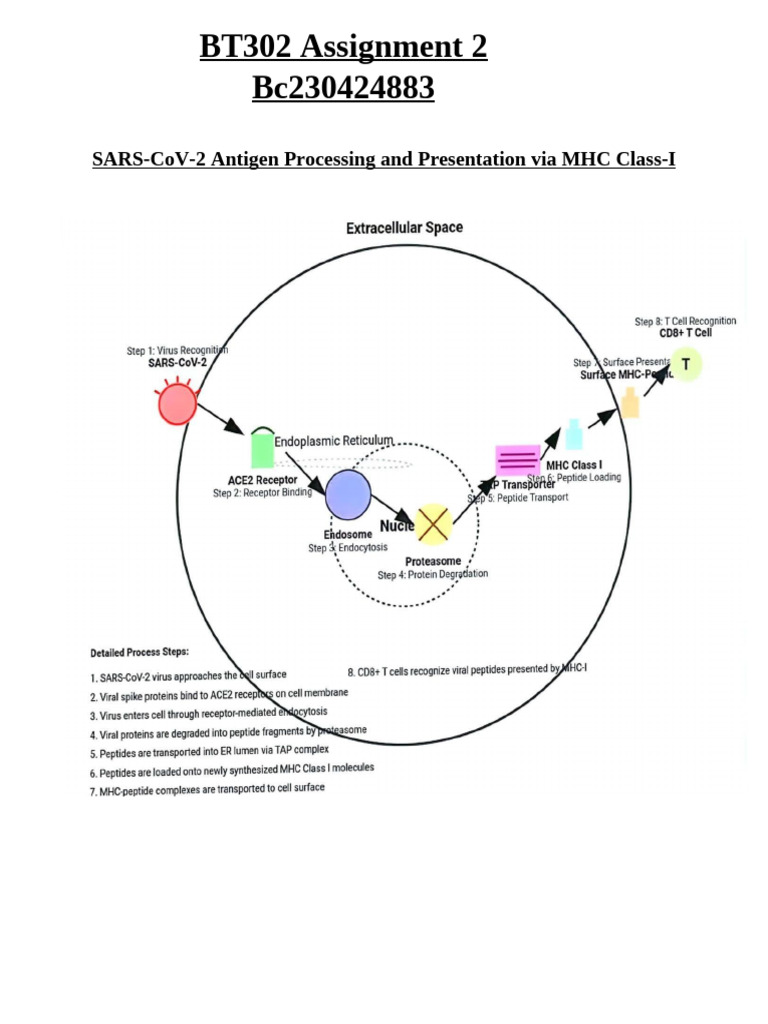 BT302 Assignment 2 | PDF