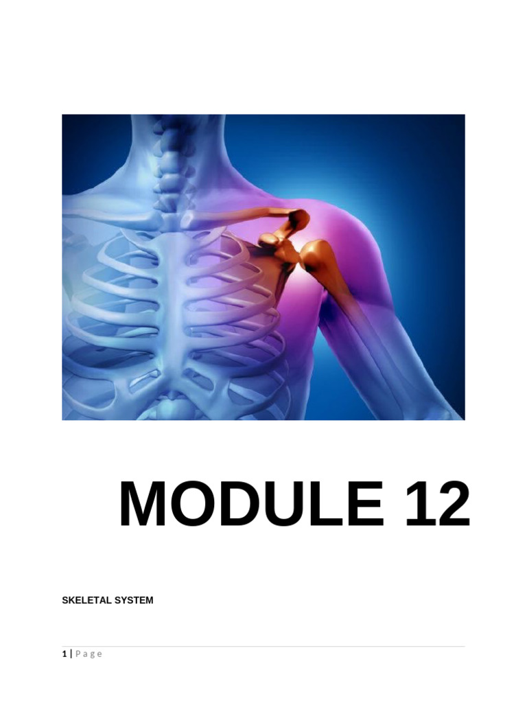 module-12 | PDF | Bone | Skeleton