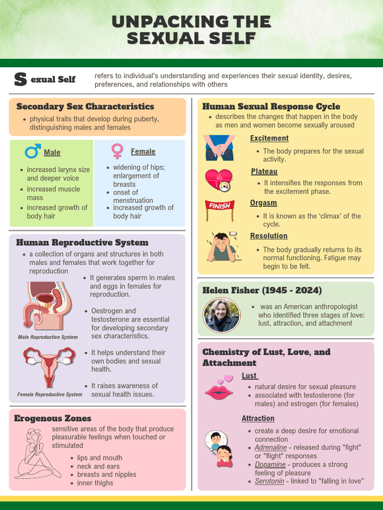 Sexual | PDF | Sexual Intercourse | Sexually Transmitted Infection