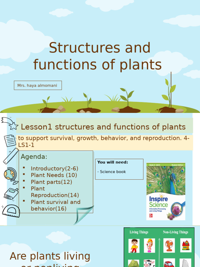 Structures and Functions of Plants | PDF | Flowers | Seed
