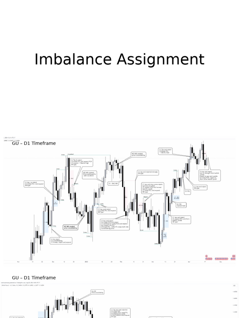 Imbalance Assignment - Example | PDF