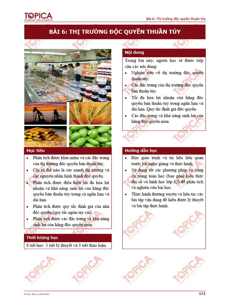 KTVM- Thị trường độc quyền | PDF