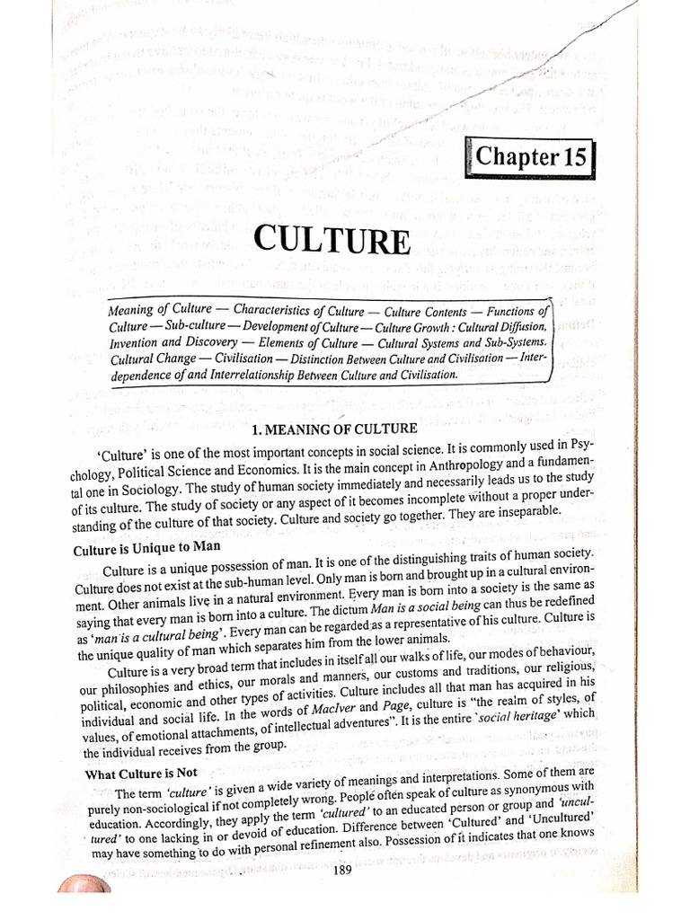 Understanding the Meaning of Culture | PDF