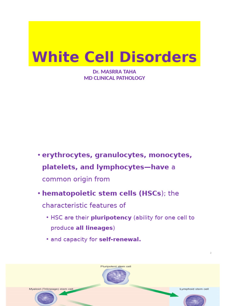 White Cell Disorders | PDF | White Blood Cell | Haematopoiesis
