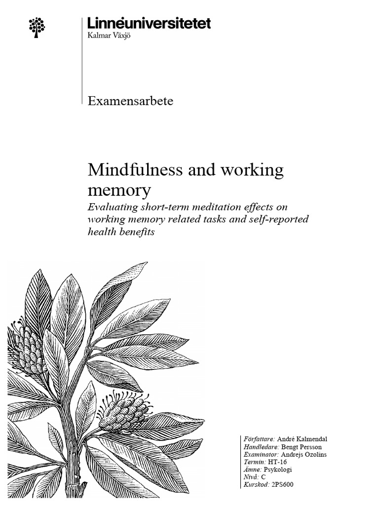 Mindfulness | PDF | Working Memory | Mindfulness