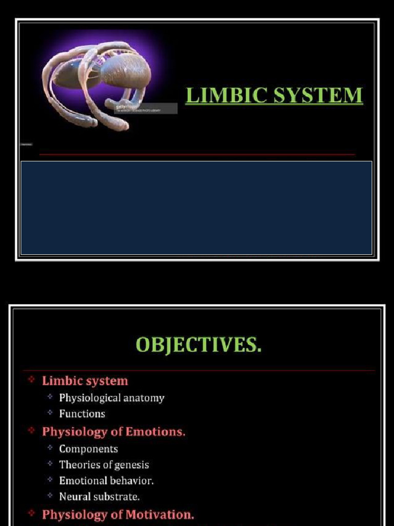 Limbic System | PDF