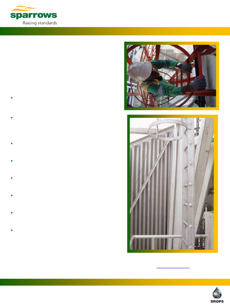 Reliable Securing - Ladders | PDF