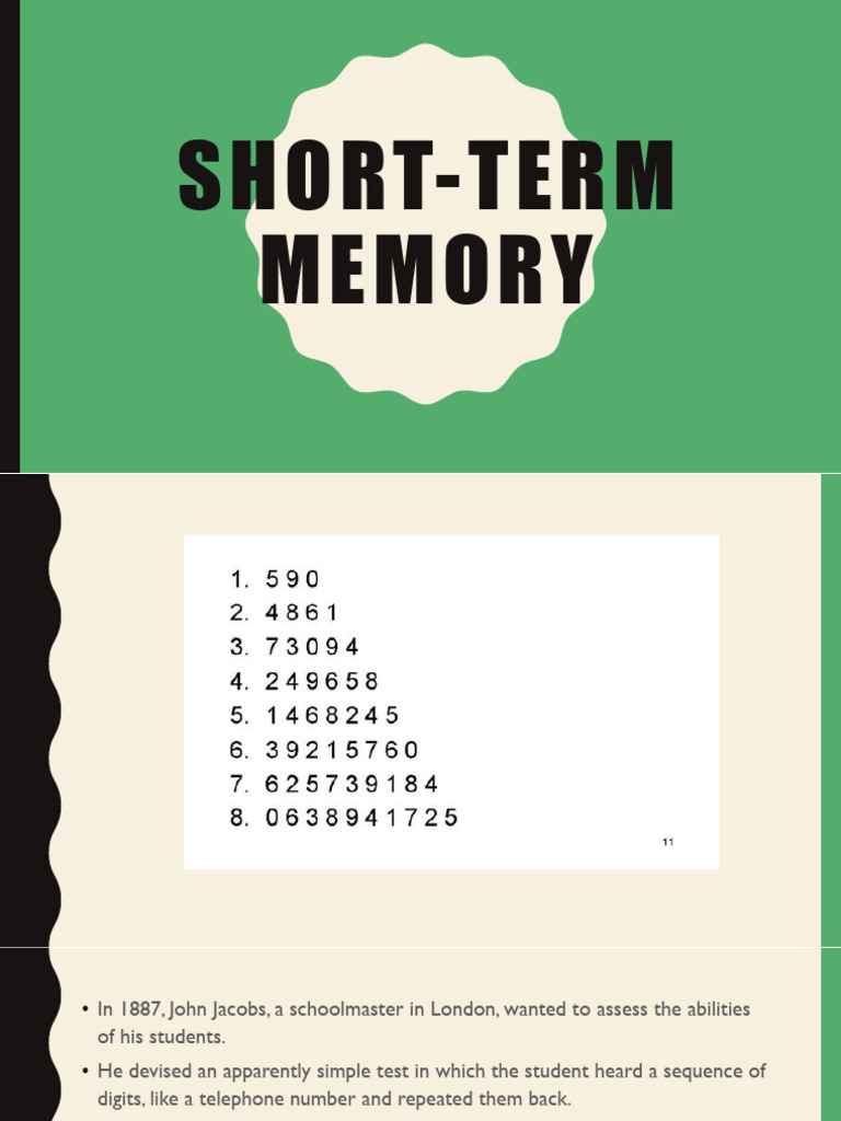 Human+Memory_week_3 | PDF | Memory | Working Memory